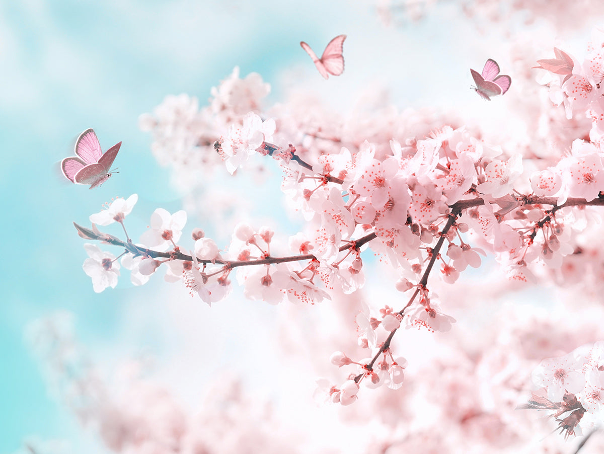 SNS｜Hello world style.【公式】